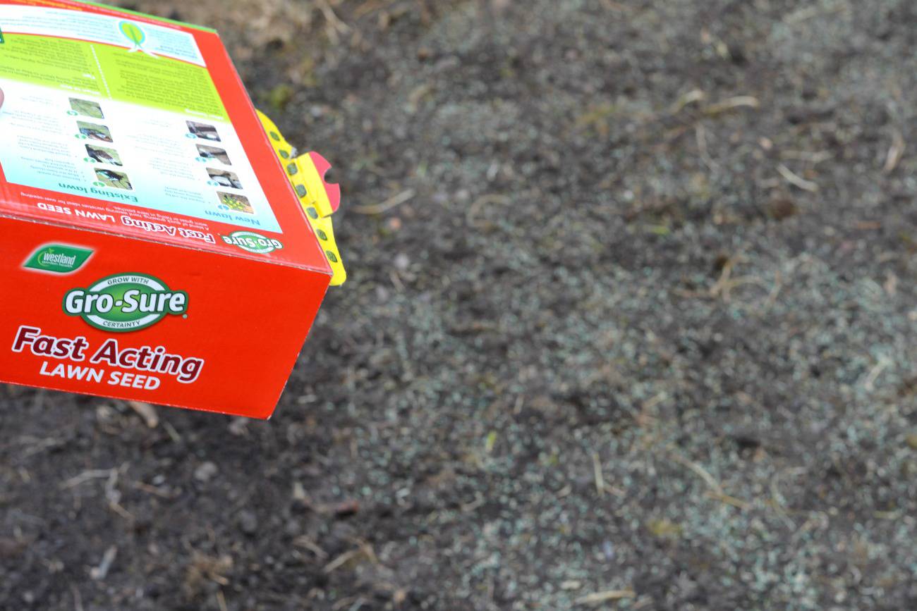 The Garden Makeover Project - Creating and Maintaining a Lawn, With ...