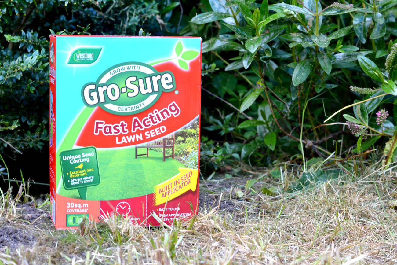 The Garden Makeover Project - Creating and Maintaining a Lawn, With ...