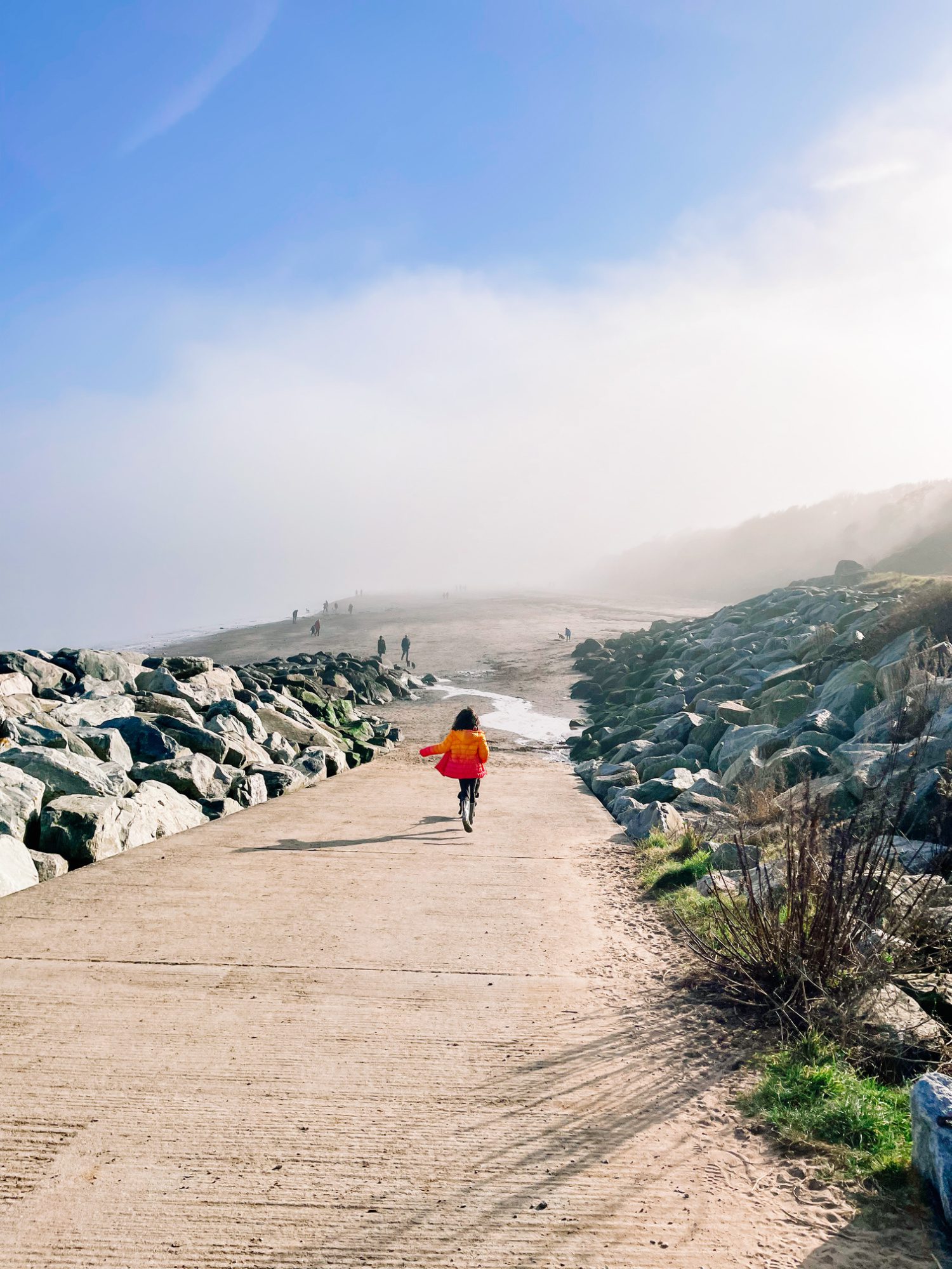 8 of The Best Dog-Friendly Beaches to Visit in Whitby, UK | Birds and ...